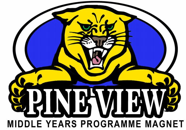 2021-2022 PVMS Cheerleading Interest Form