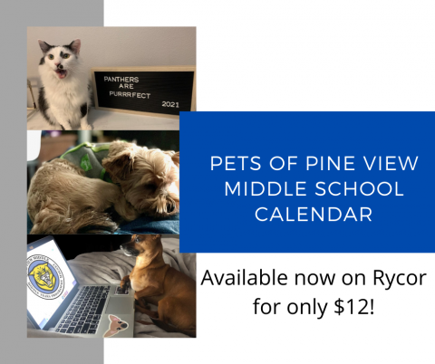 Pine View Middle School | Helping students reach their highest potential!