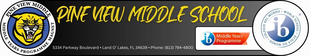 Pine View Middle School | Helping students reach their highest potential!